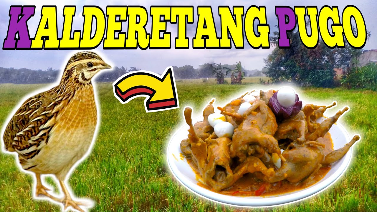 Pugo (Quail) Recipe - Kaldereta | Paano Magluto Tips | #quail # ...