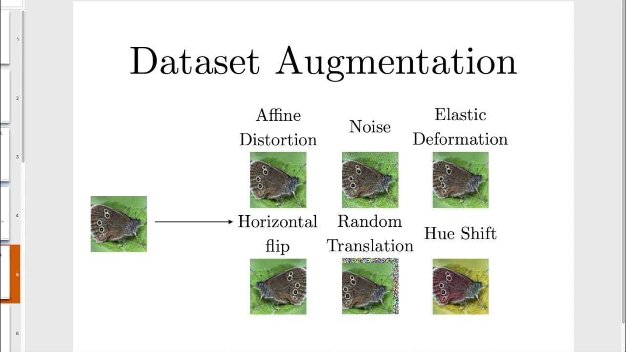 Effective Deep Learning - Data Augmentation and Vanishing Gradients ...