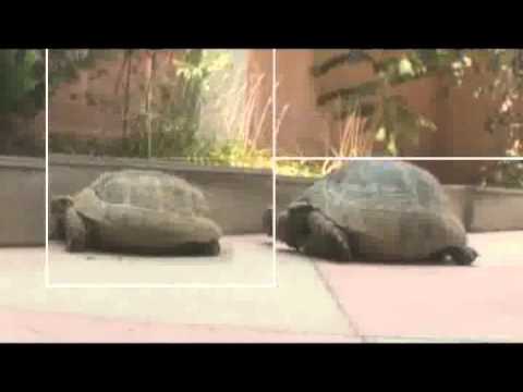 Love story neew vers.flv
