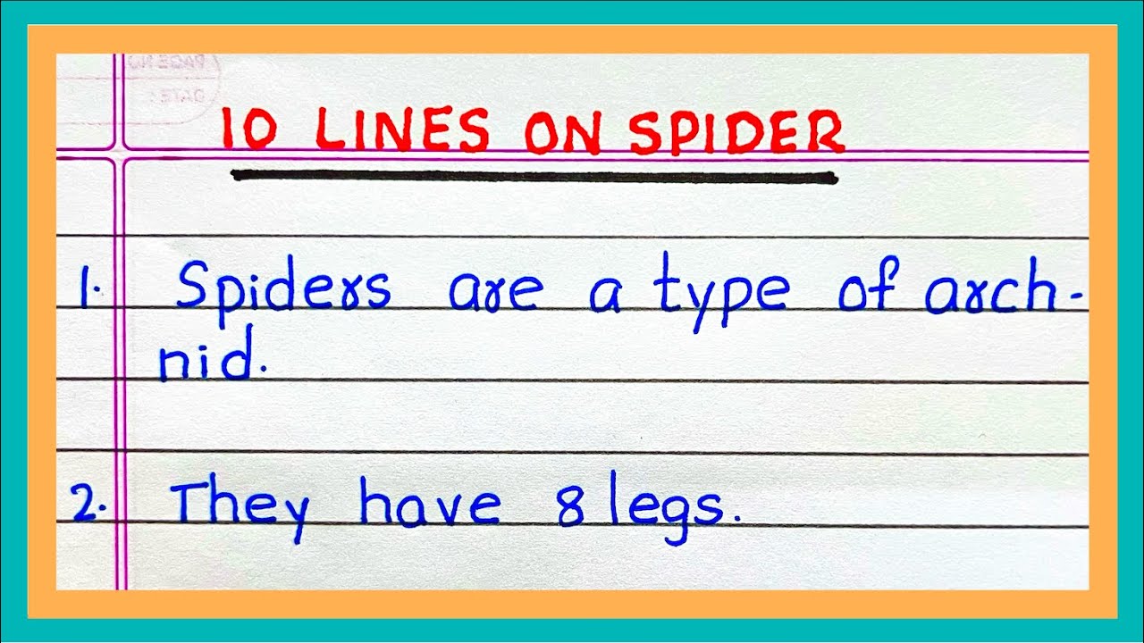 Few Lines on SPIDER | 10 Lines on SPIDER | Essay on SPIDER - YouTube