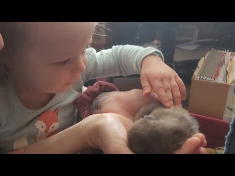 Freya meets the Jackals for the first time!