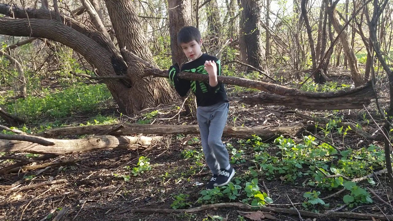 The stick breaker - YouTube