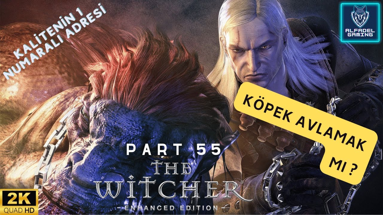 The Witcher 1 | Türkçe | #55 | GERÇEK DOST VİNCENT ! - YouTube