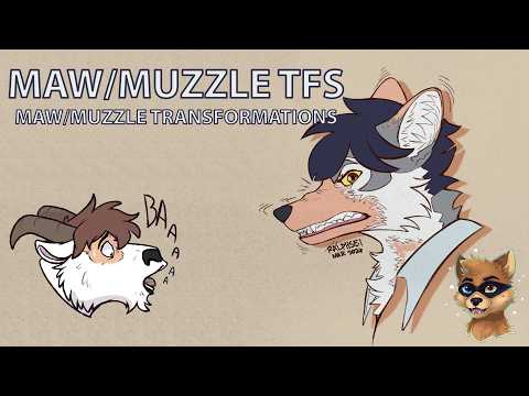 Maw & Muzzle TFs / Maw & Muzzle Transformations