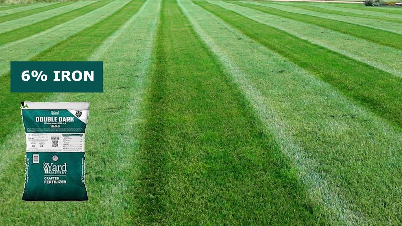 Before and After: Using Yardmastery Double Dark Fertilizer with 6% Iron ...