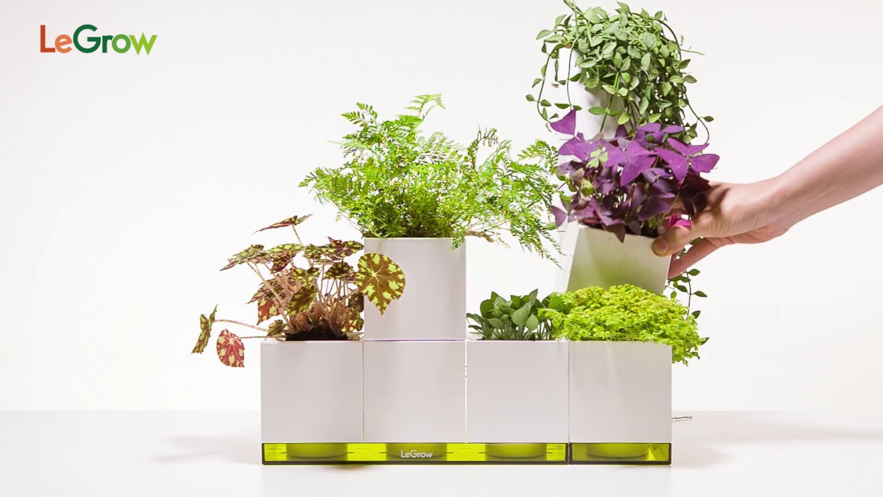 The Most Creative Indoor Planter | LeGrow Build Set | Building gardens ...
