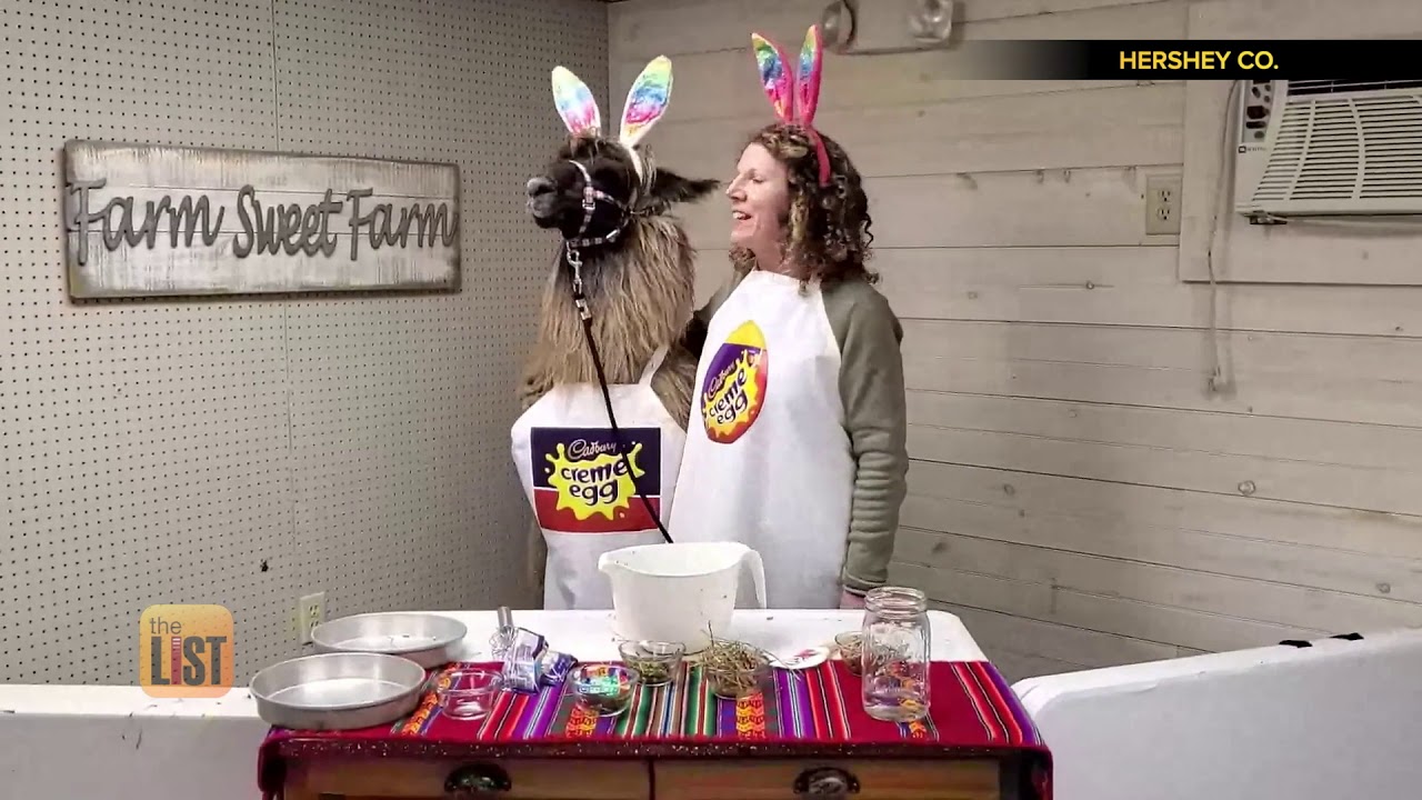 Cadbury Bunny Contest 2020: Who Will Be the Next Cadbury Bunny? - YouTube