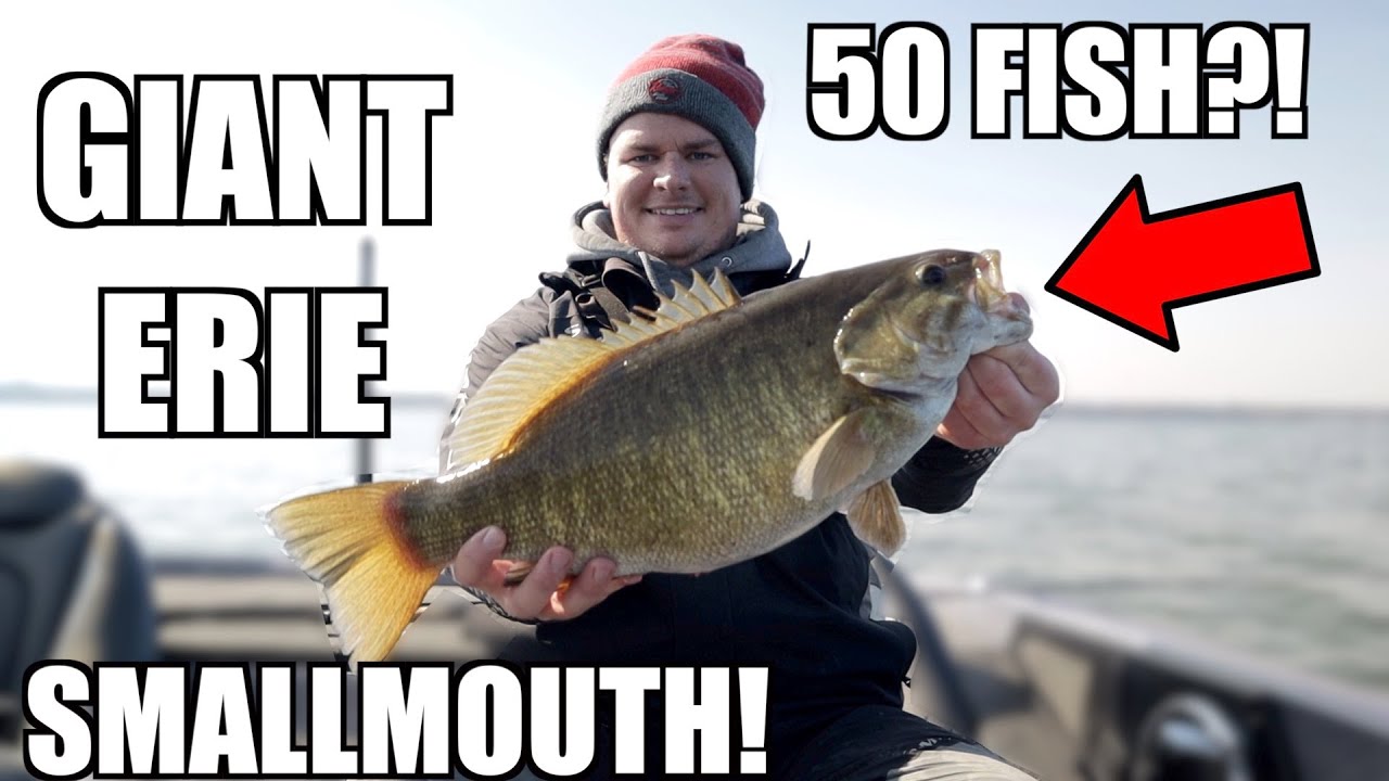 Lake Erie Smallmouth Fishing! (Finesse Swimbait fishing) - YouTube