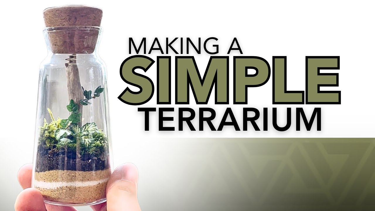 Making a simple terrarium - YouTube