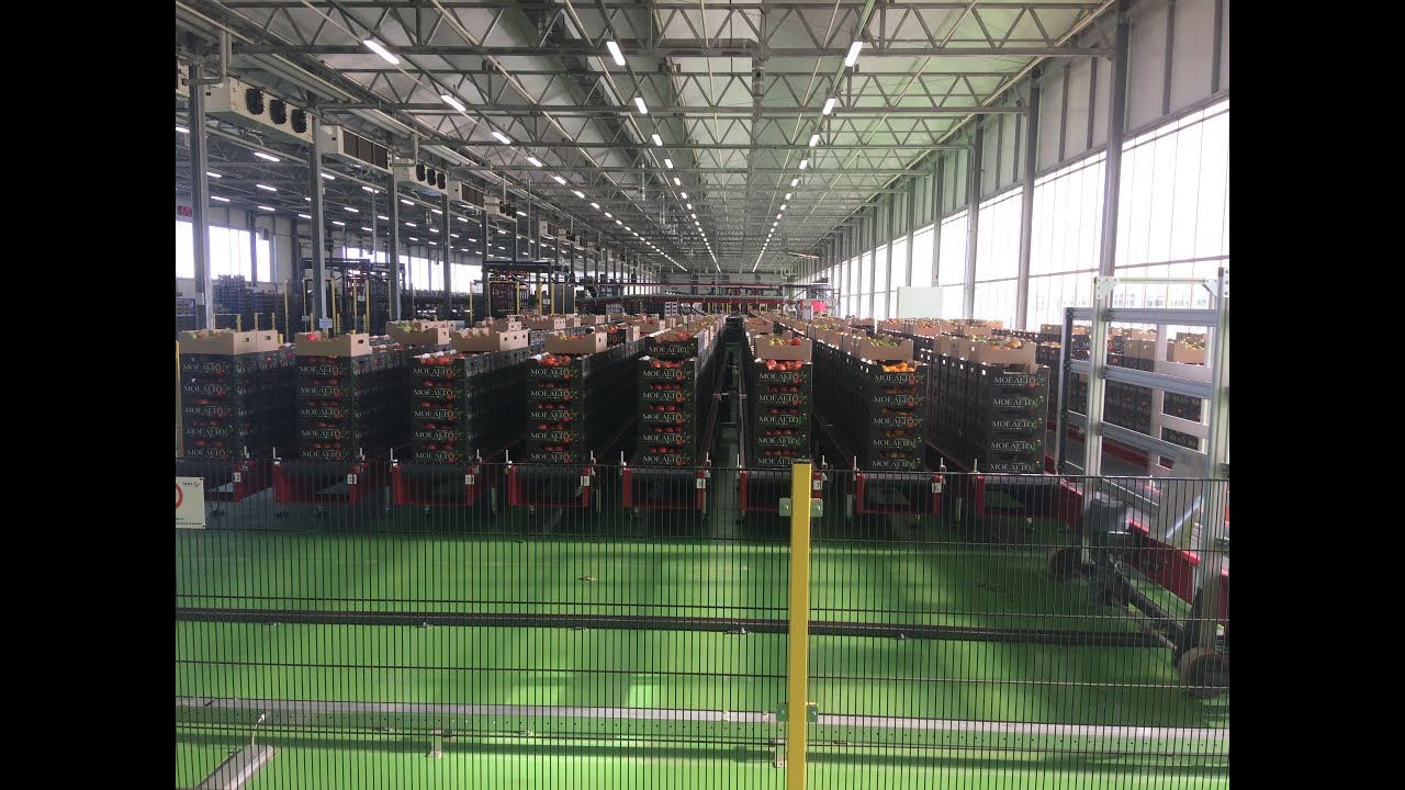 Innovative buffer system for fresh fruits and vegetables - YouTube