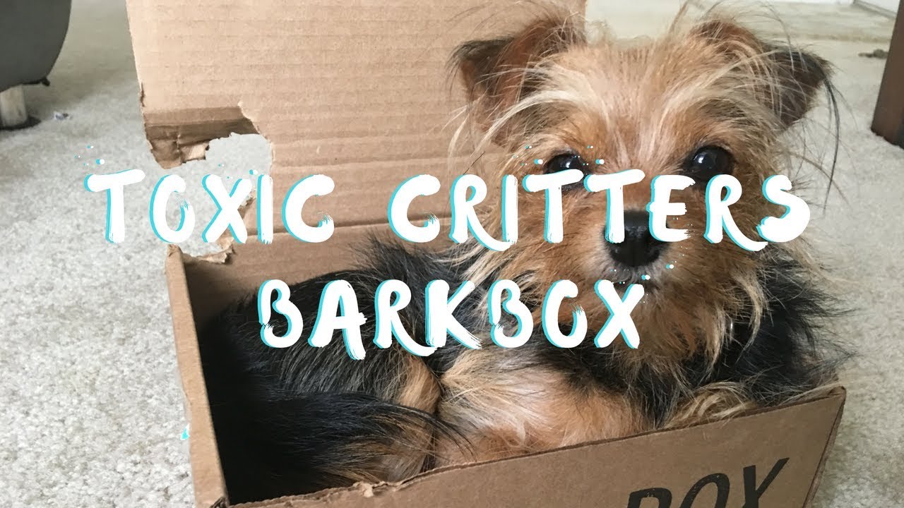 Toxic Critters Barkbox | July 2018 - YouTube