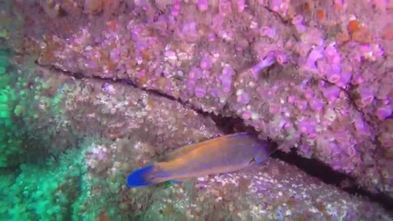 Three Mile Rock Aug 15 - YouTube