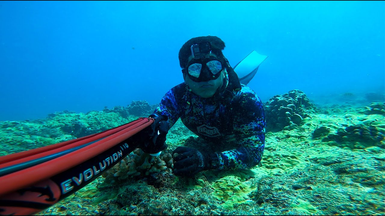 Spearfishing in Hawaii - YouTube
