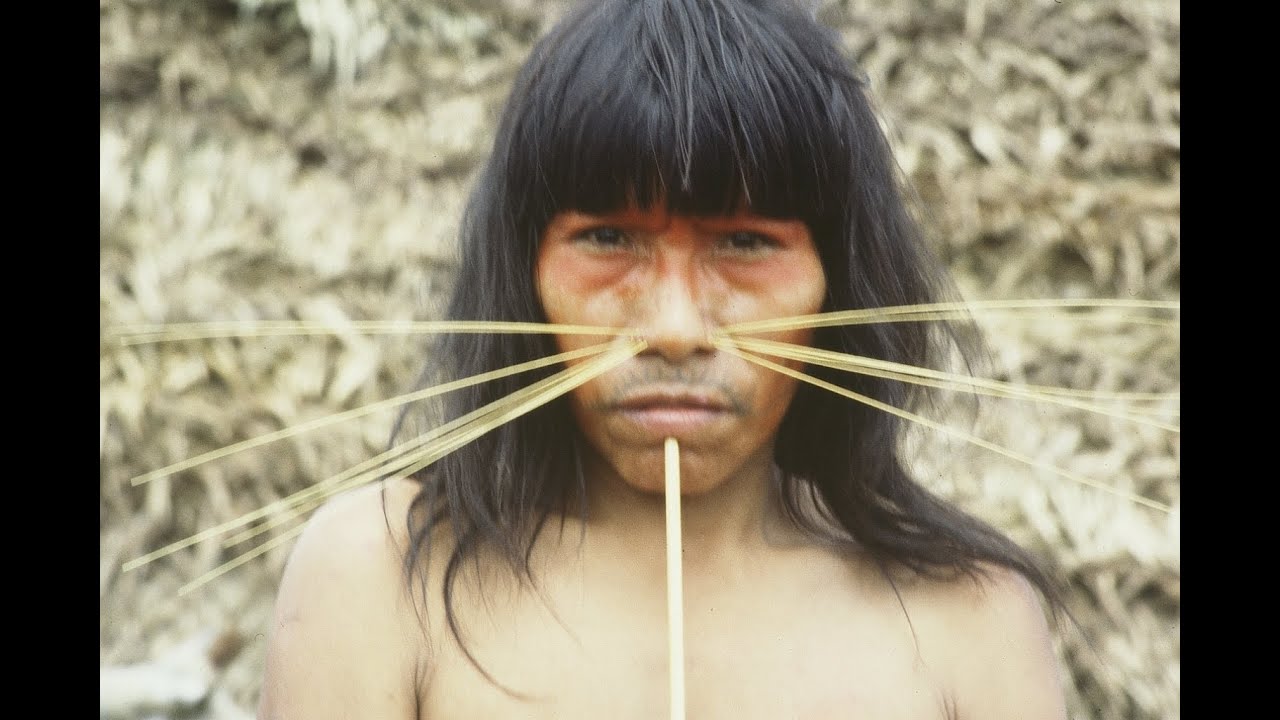 Amazonie. Peuplades en danger. Attention au tourisme ethnique. Tribes ...