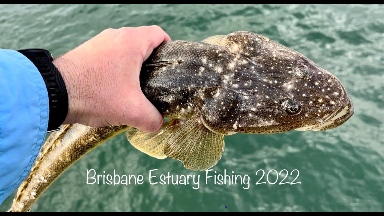 Brisbane Estuary Fishing 2022 - YouTube