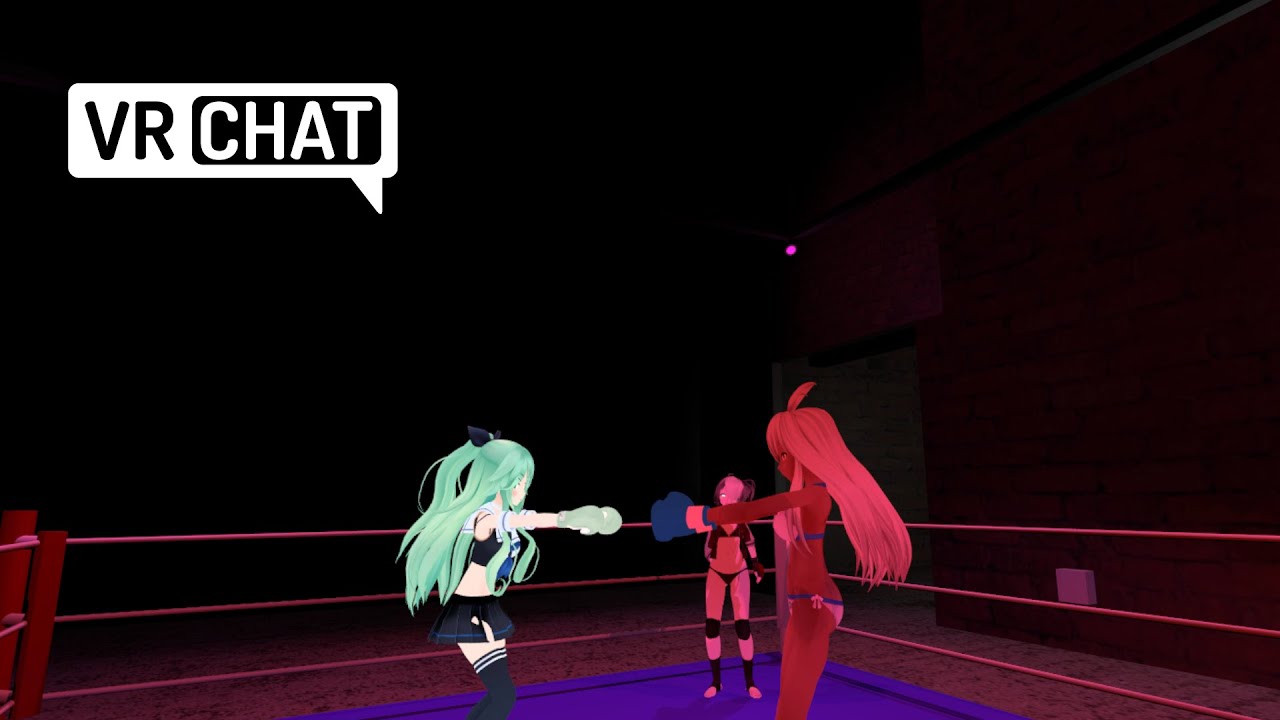 Which would you rather bet on?💸 VRchat BOXING - YouTube