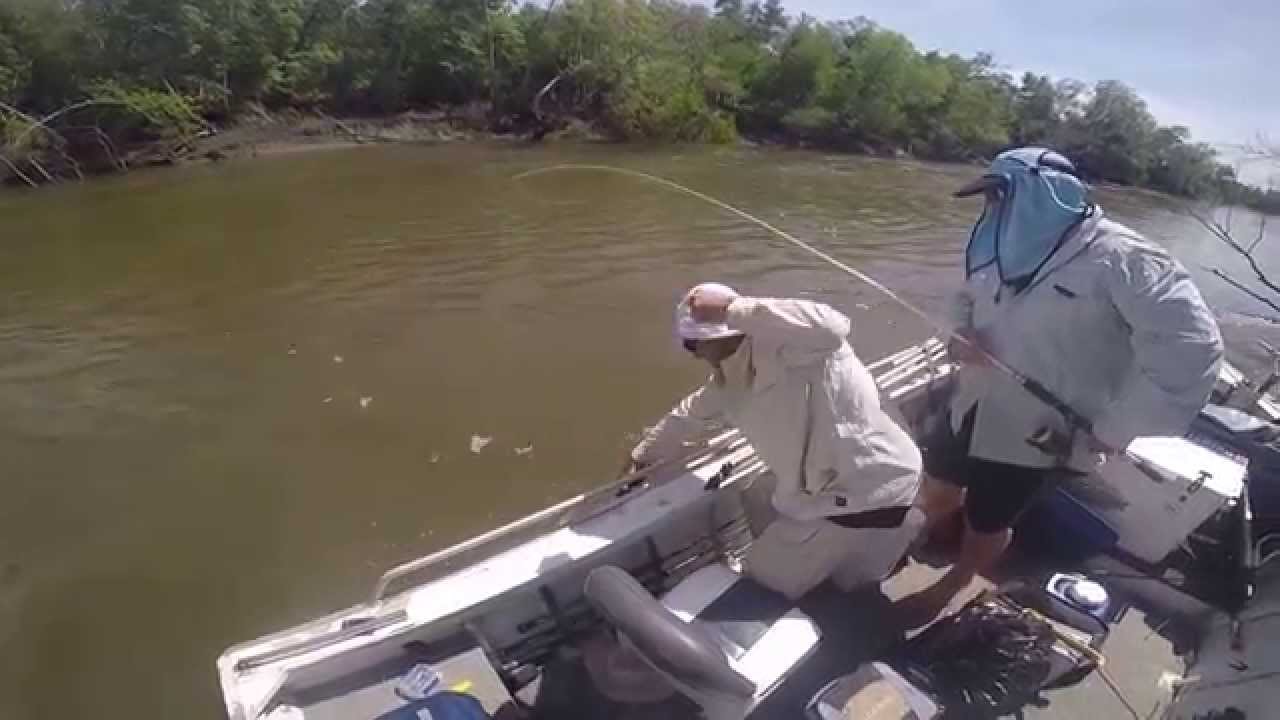 Finnis River Barra!!!!! - YouTube