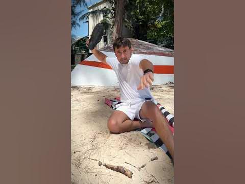 Why did he change his mind about throwing his slippers ️ - YouTube