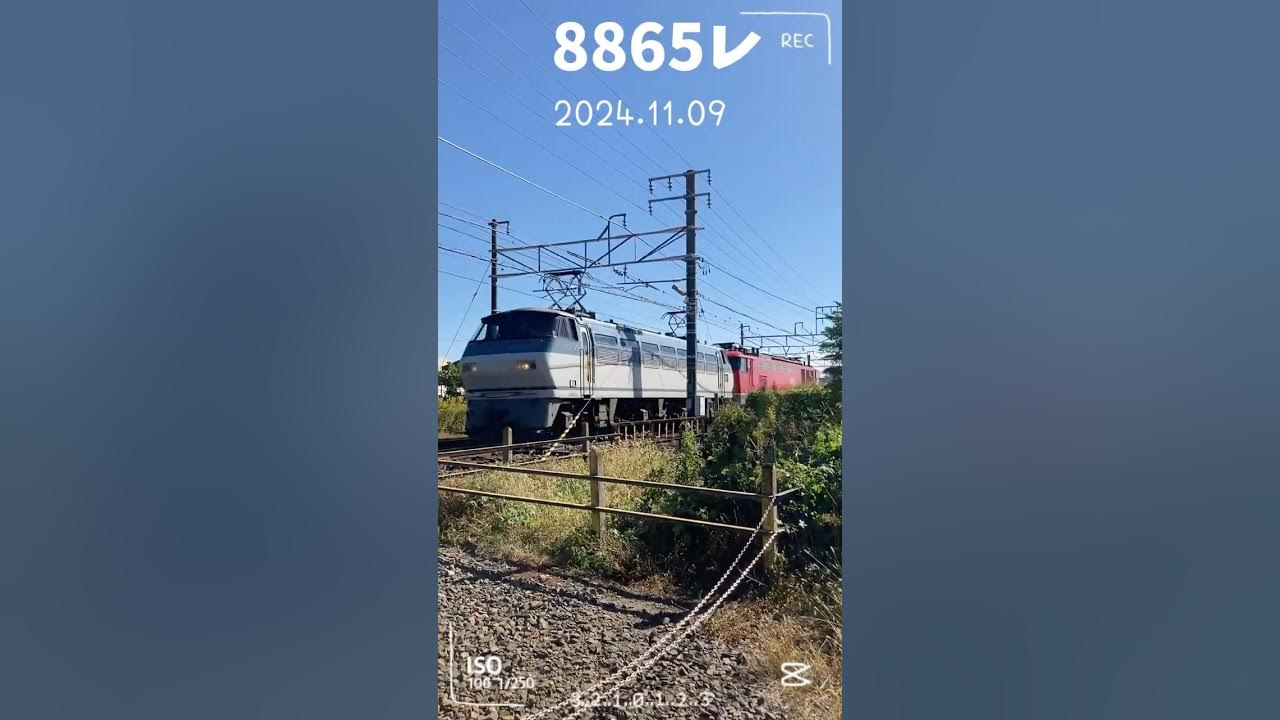 【中レア】8865レにEF510が付いてました #shorts #jr貨物 #撮り鉄 - YouTube