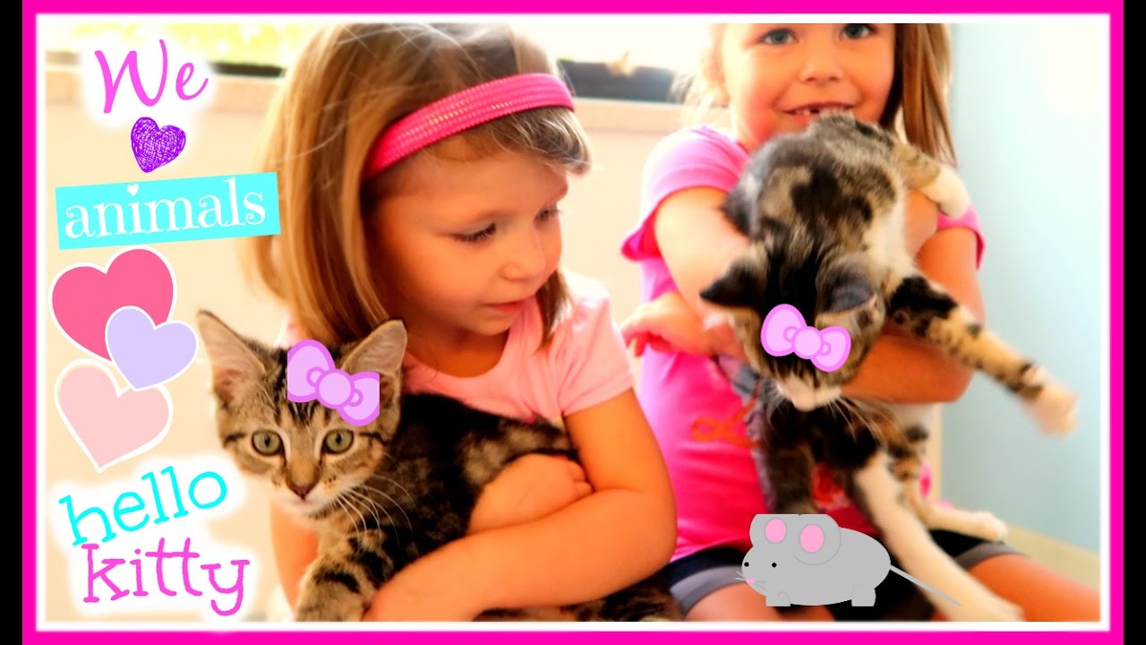 Little Kids Having Fun Playing With Animals 🐾 🐶🐱🐾 - YouTube