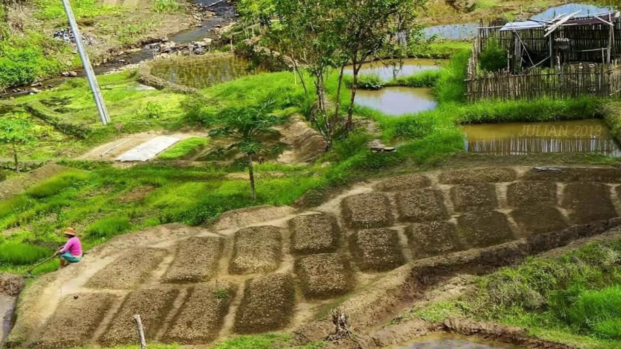Beautiful Tambunan - YouTube