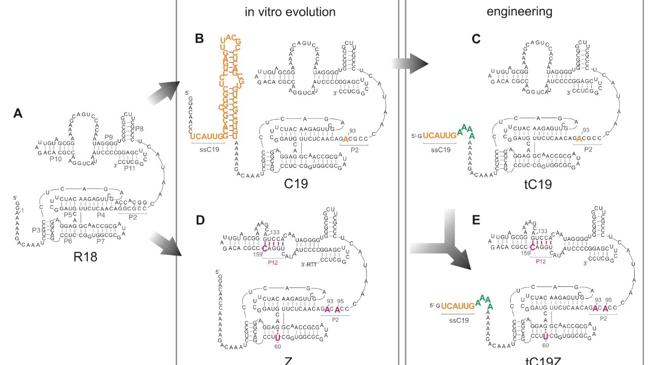 Paper Trails The Hot Spring Hypothesis for an Origin of Life Part Four ...