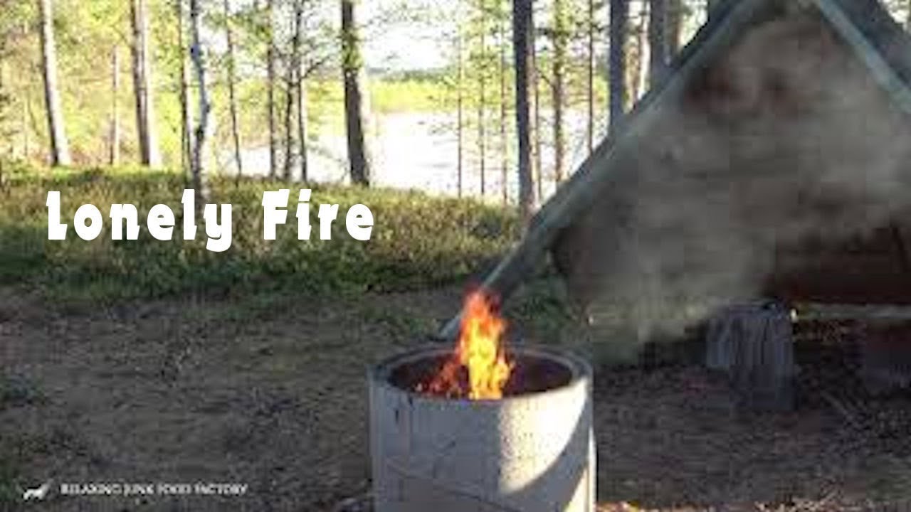 Nightless night by the fire in Lapland/Beautiful/ Bird/ Song/Ambience ...