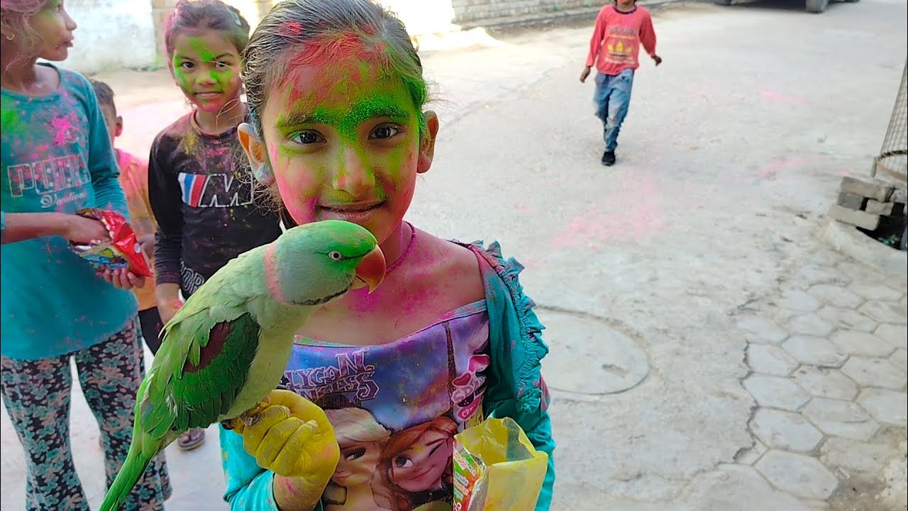 Happy Holi friends||Parrots videos 🦜|| - YouTube