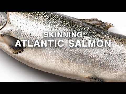 Skinning Atlantic Salmon | Chef Alex Haun - YouTube