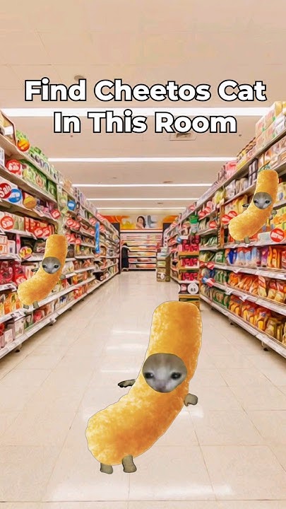 Cheetos Cat Finding Challenge - YouTube