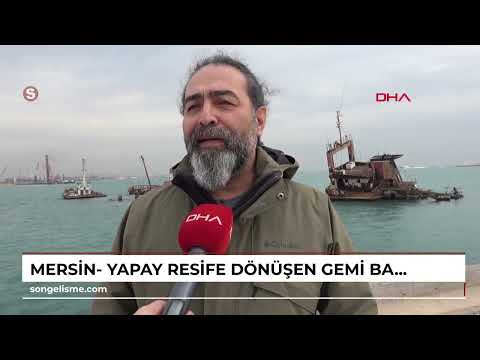 Mersin- Yapay resife dönüşen gemi batıkları, balıklara ve deniz kuşlarına yuva oluyor