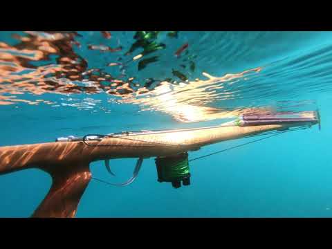Flottabilité Fusil en bois DZ Made