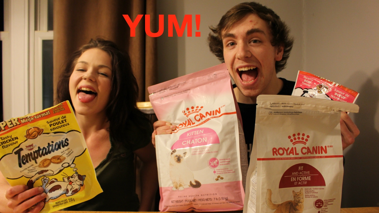 Eating Cat Food Challenge! WET & DRY FOOD! - YouTube
