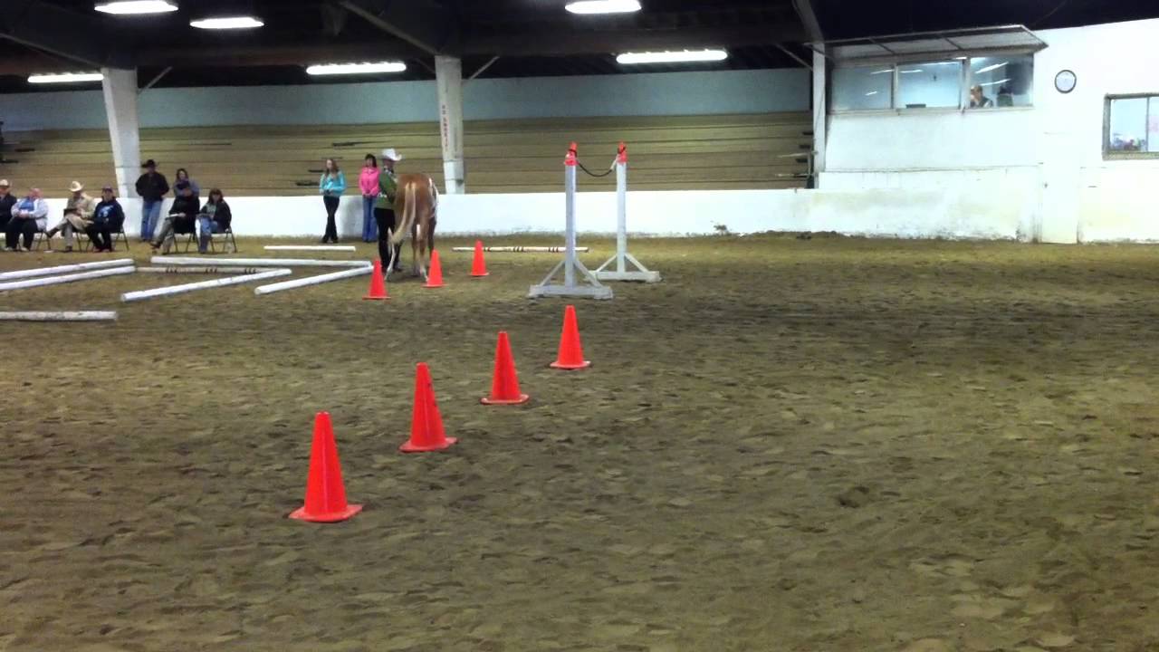 Only Appointed In-Hand Trail - YouTube