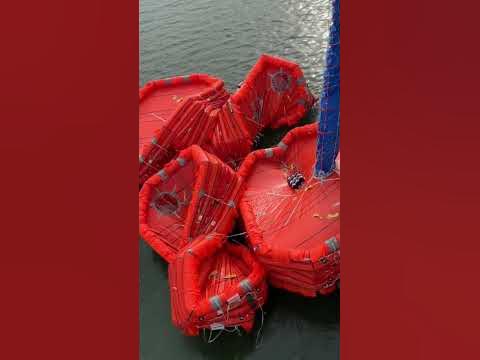 ВОТ ЭТО УРОВЕНЬ 💪👍 - YouTube