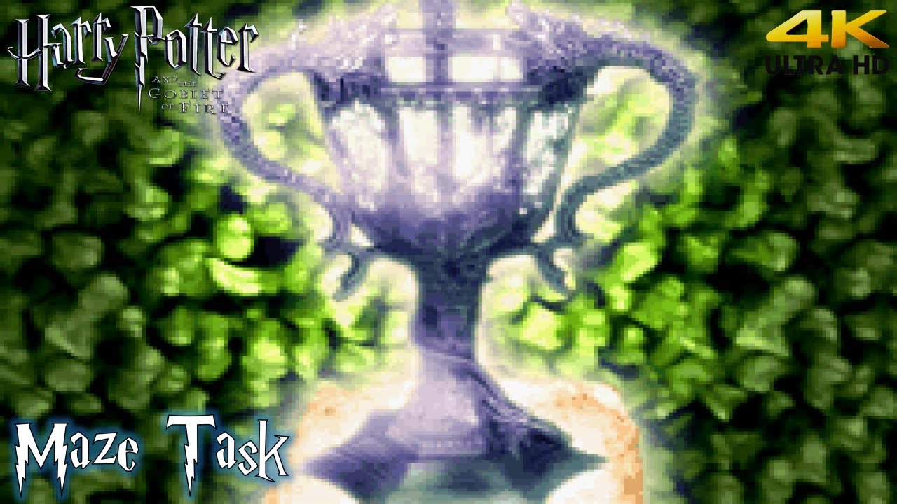 Harry Potter and the Goblet of Fire GBA 'Triwizard Task 3: The ...