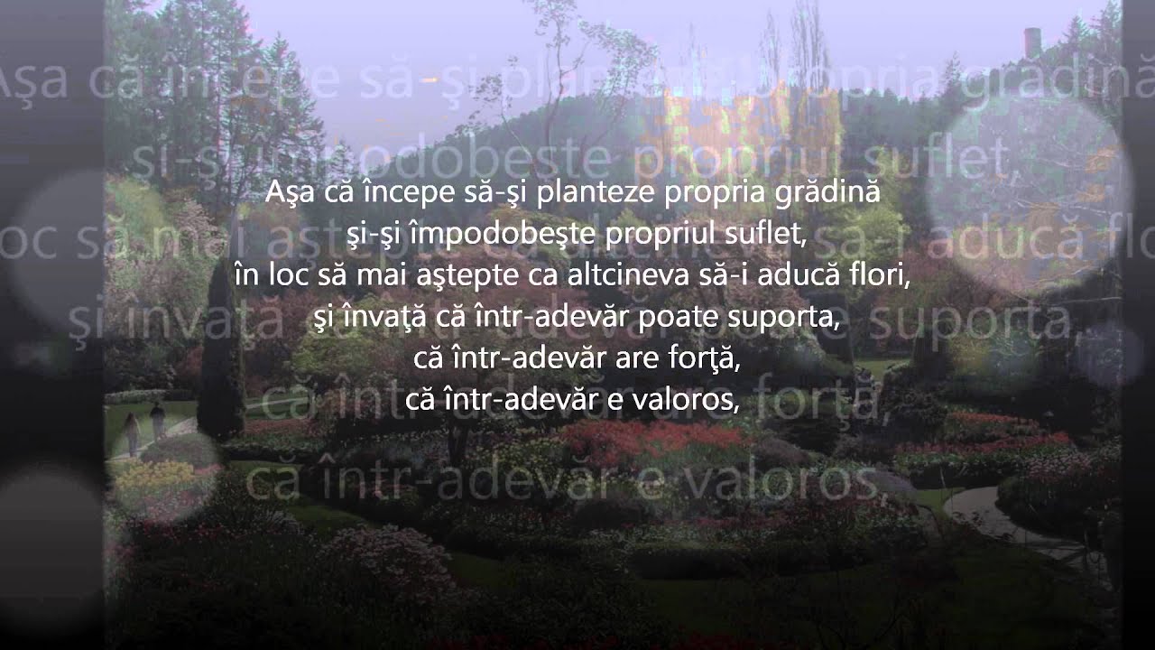 lectie de viata - YouTube