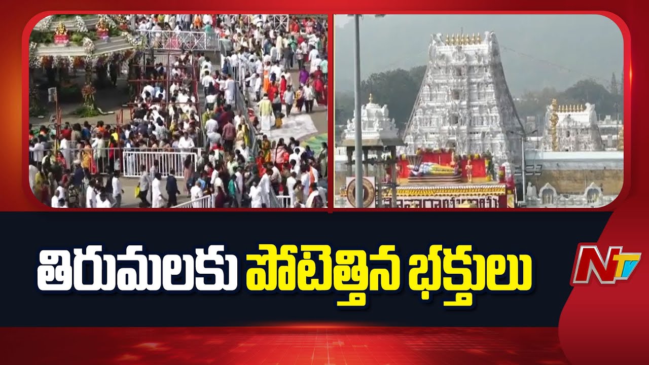 Huge Devotees Rush At Tirumala Tirupati Temple | TTD | NTV Telugu - YouTube