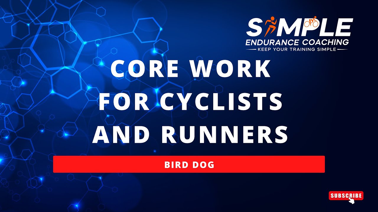Bird Dog Core Strength for Cyclists and Runners - YouTube