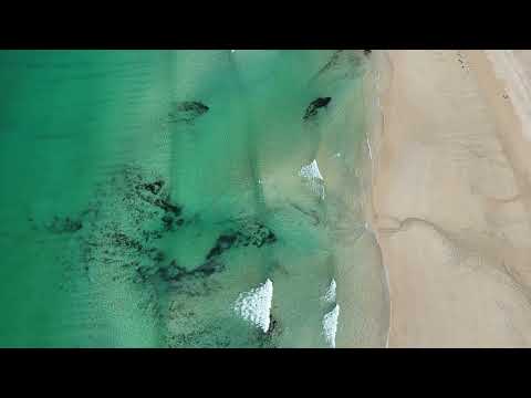 VICII - Hai să zburăm