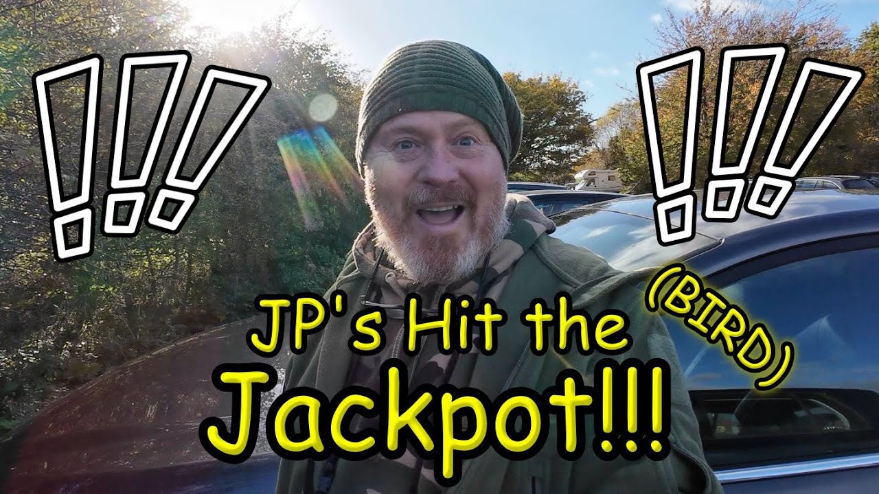 JP gets a Waxwing and A STUNNING BIRD!!! - YouTube