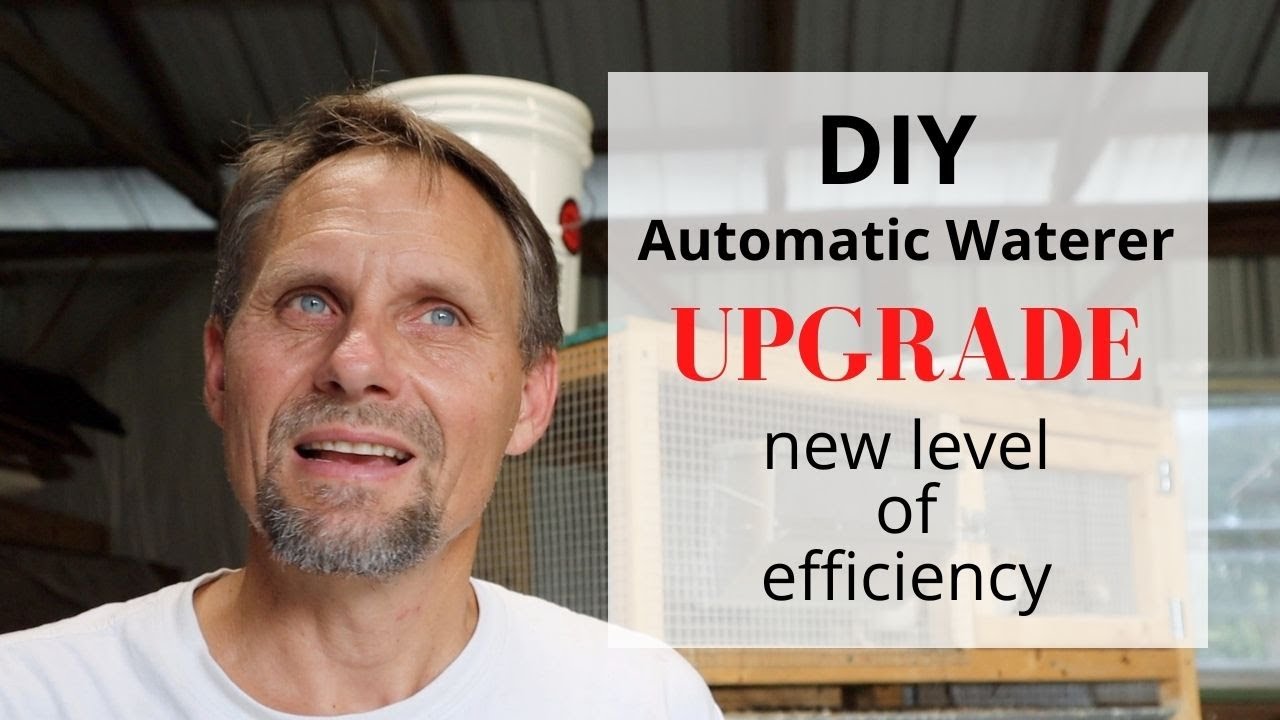 DIY AUTOMATIC WATERER, WATER GAUGE FOR QUAIL. New level of efficiency ...