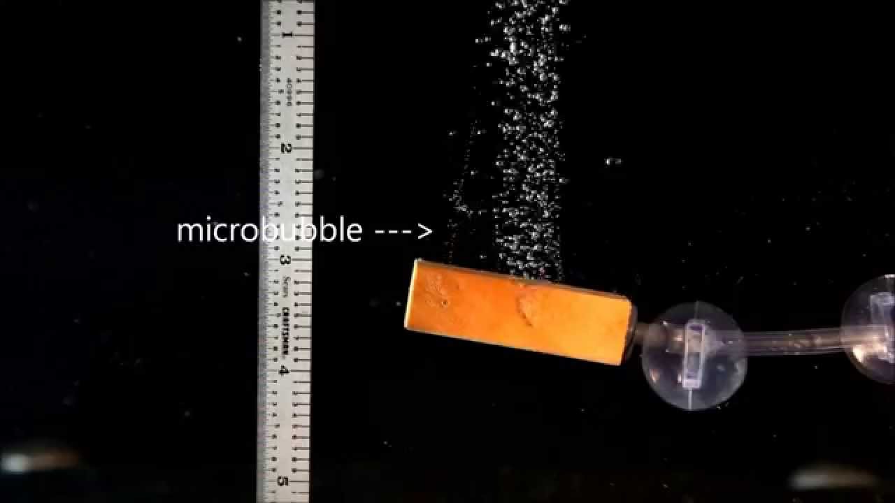 Microbubble - YouTube