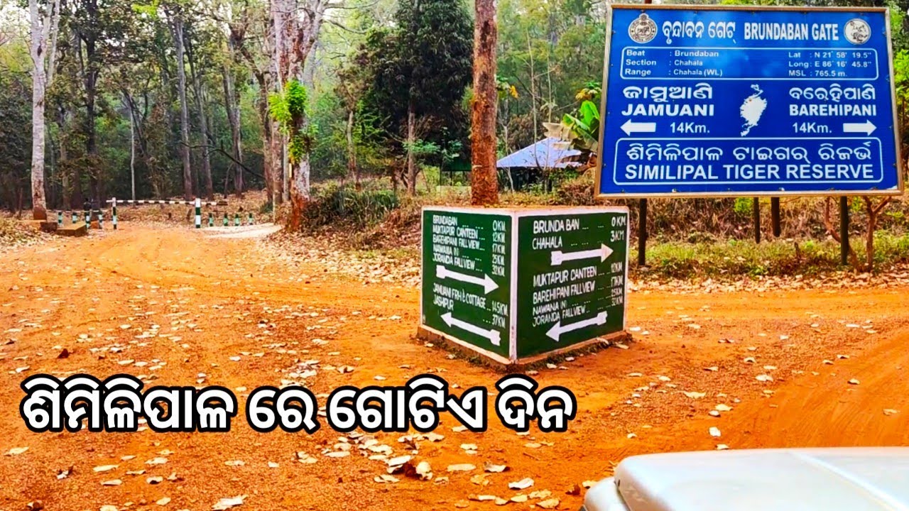 similipal Tiger Reserve | Barehipani & Joranda Waterfall | ମିଲ୍ ଗୋଟେ ...