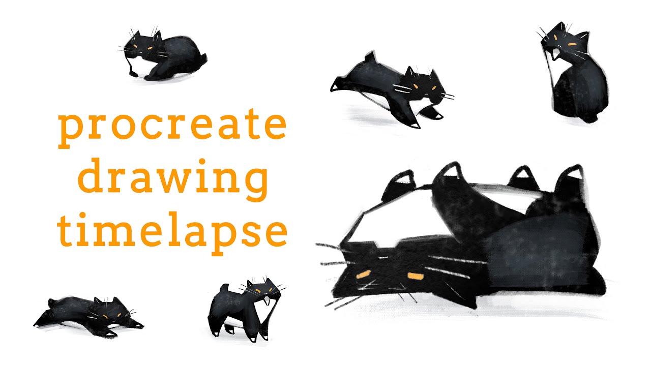 Procreate drawing time lapse - drawing my fur baby Bosley the cat in ...
