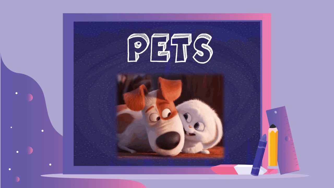 OCTOBER 22 CLASS PETS - YouTube
