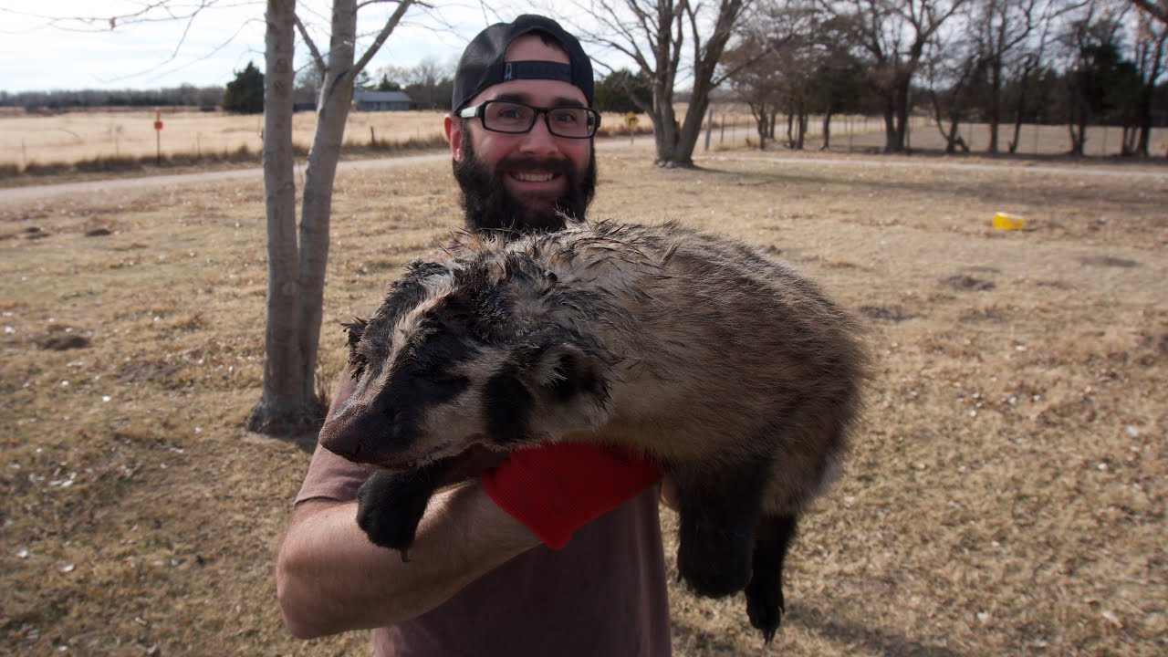 First Trapline Check of the Season!!! My Biggest Badger Yet! - YouTube
