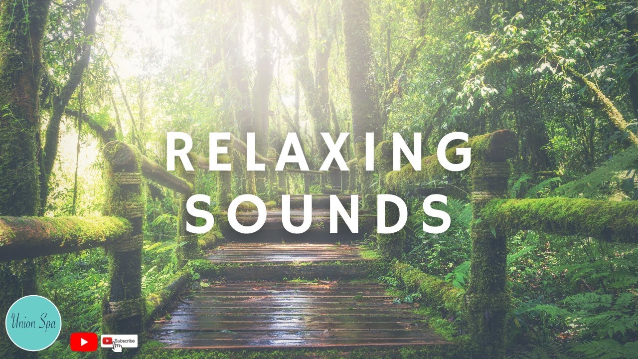 Peaceful and Zen Sounds of nature | Relaxing Music [Deep Sleep] For ...