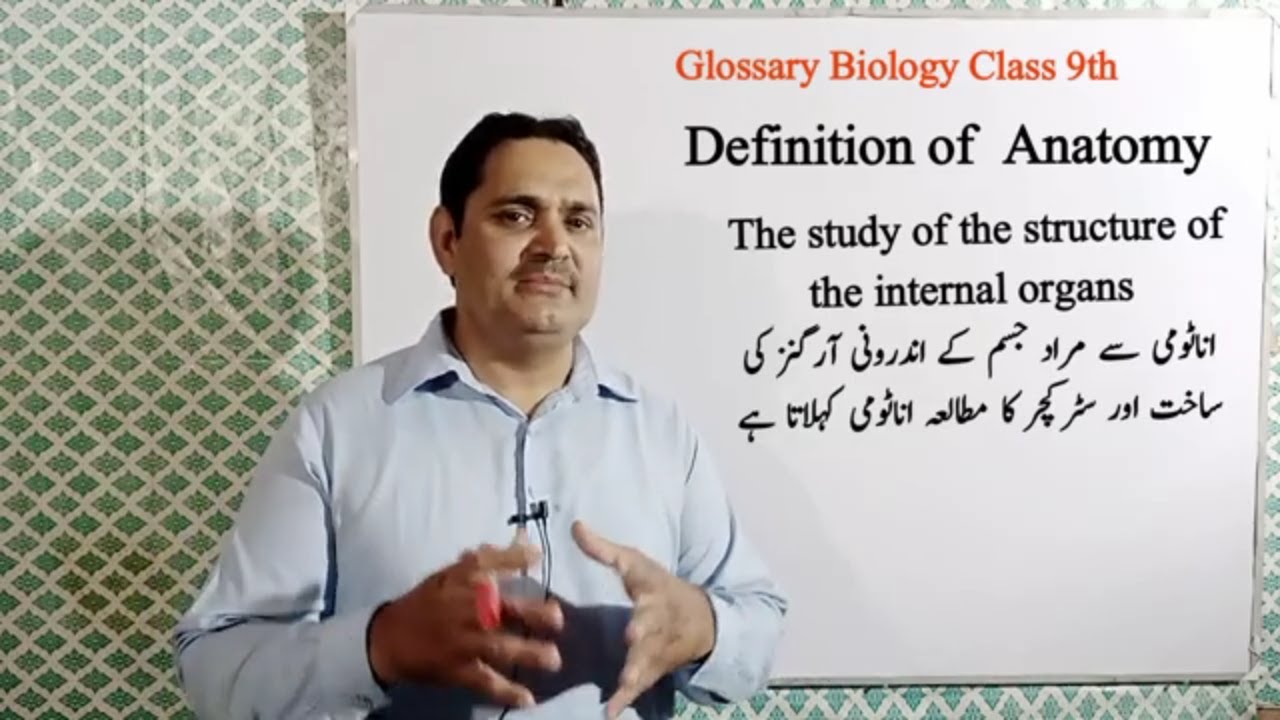 Definition of Anatomy | What is Anatomy | Meaning of Anatomy - YouTube