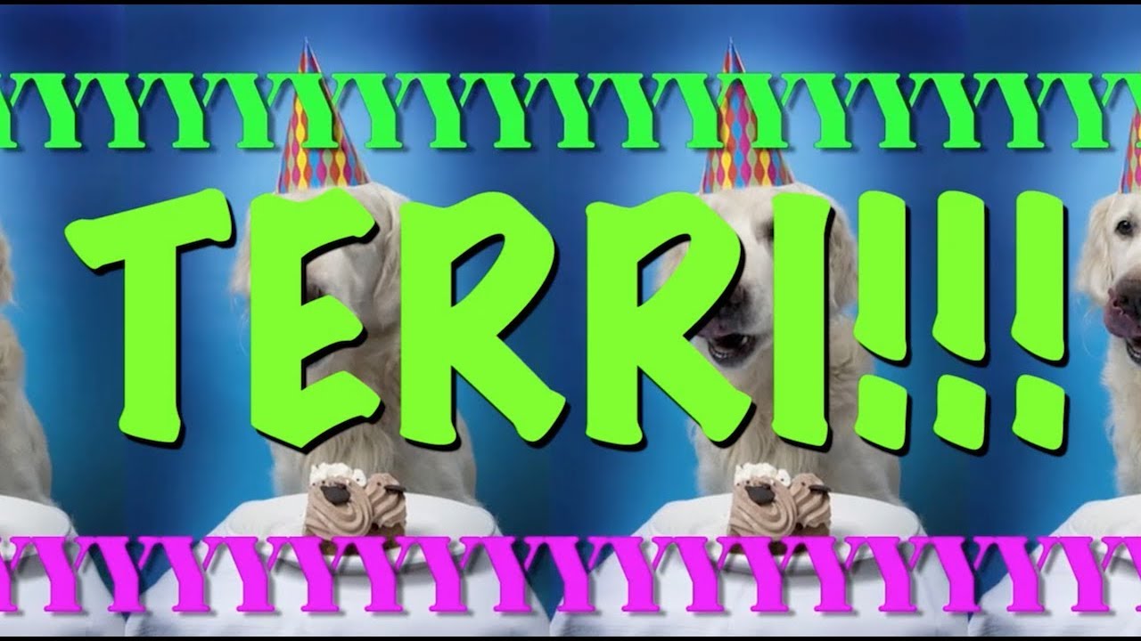 Happy Birthday Terri Memes Meme Maker HAPPY BIRTHDAY MARKKU Here Is